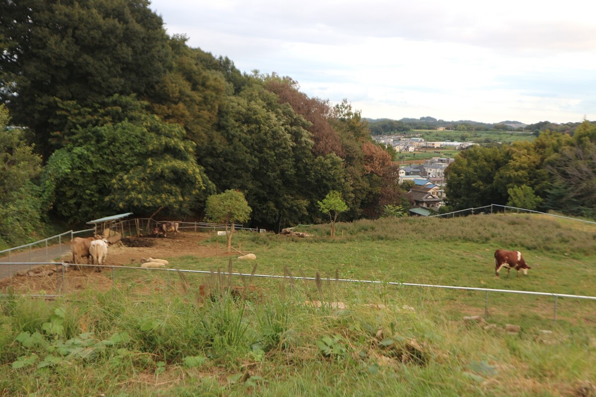 『TOKYO FARM VILLAGE』東京都内の牧場カフェでファームメイドのおいしさを体験｜by HELLO CYCLING - 中央線が ...